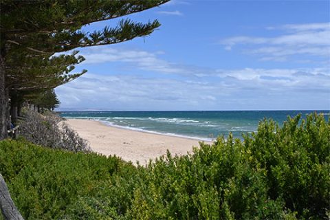 Speech Pathology - Relate Therapy Services